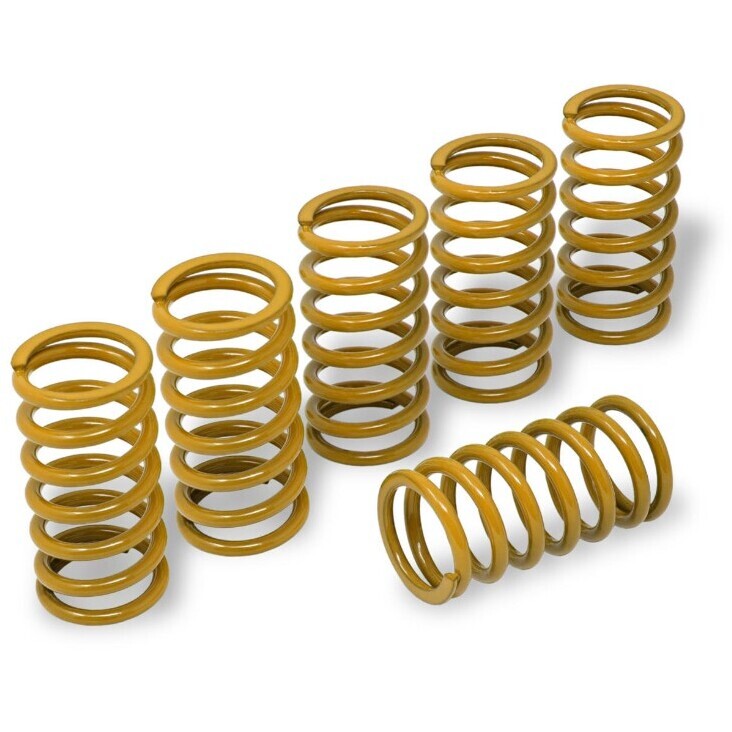 Clutch Springs MO345 H45 - BMW CNC Racing Gold For Sale Online ...