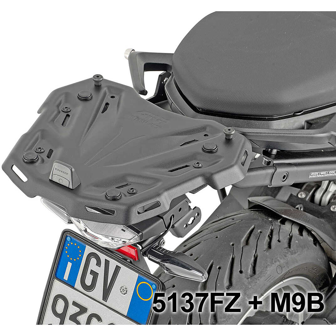 Givi Monokey or Monolock Top Case Rear Rack Specific for BMW F 900 XR ...
